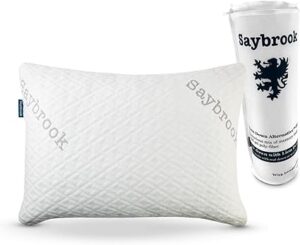 Top 10 Ergonomic Pillows